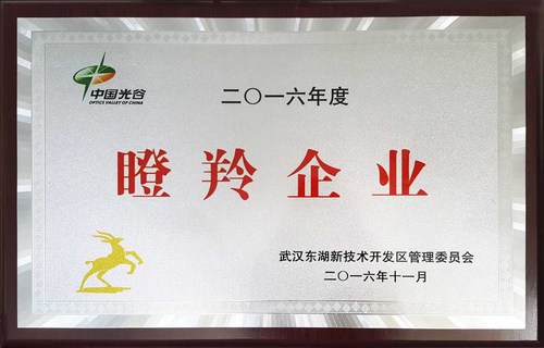 bms Medicaltech Leading By Innovation_Sterile Tube Welder;Blood ...